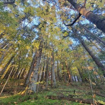 COOKS BUTTE PARK - Updated October 2025 - 33 Photos - 2266 Palisades ...