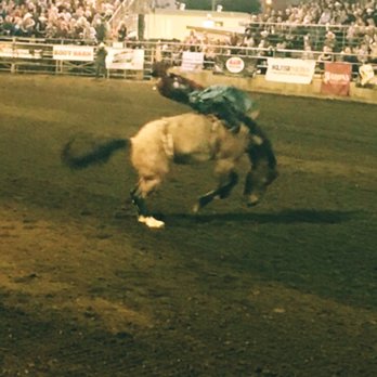 LAKESIDE RODEO - Updated March 2024 - 55 Photos & 30 Reviews - 12584 ...