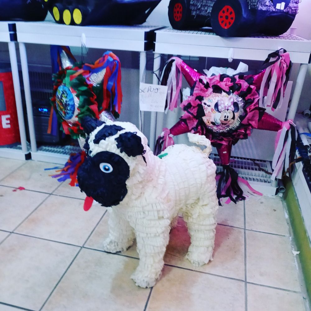 MEGA PINATA - Updated January 2026 - 118 Photos - 2525 N Stone Av ...