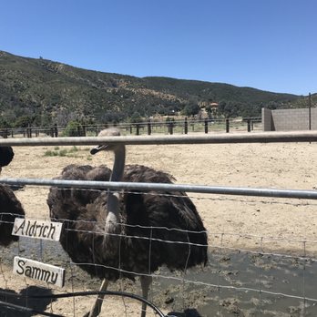 QUAIL RUN RANCH - Updated May 2025 - 127 Photos & 48 Reviews - 44380 ...