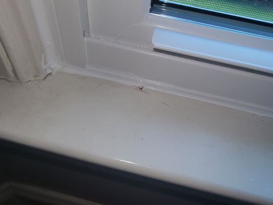 WINDOW WORLD OF ATLANTA - Updated August 2025 - 118 Photos & 203 ...