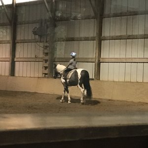 DANADA EQUESTRIAN CENTER - Updated June 2025 - 3S507 Naperville Rd ...