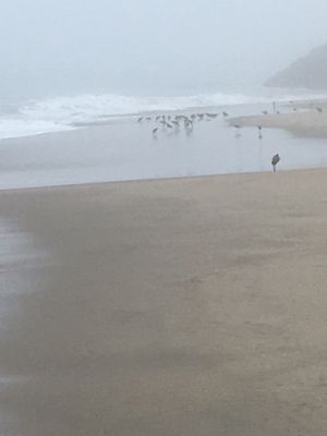 POINT MUGU RV PARK - 25 Photos - Campgrounds - 311 Main Rd, Point Mugu ...