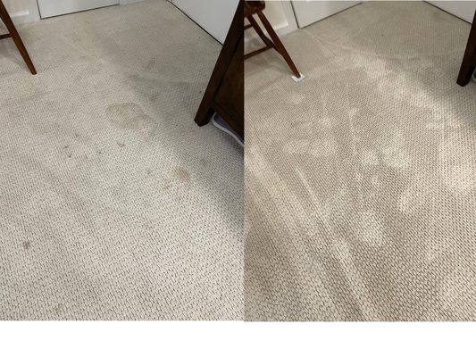 STEAMASTER CARPET CLEANING - Updated December 2025 - 16 Photos & 29 ...