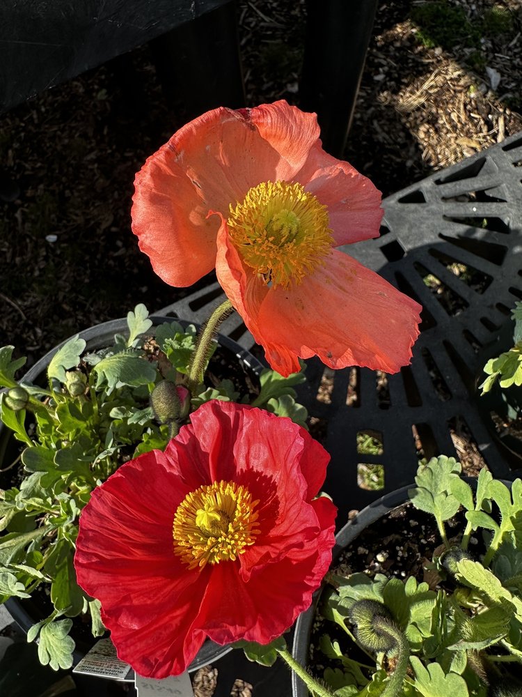 ALLANDALE FARM - Updated October 2025 - 113 Photos & 71 Reviews - 259 ...