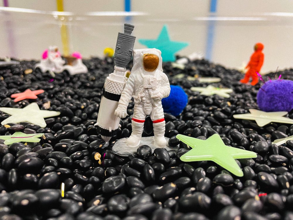 RAINFOREST PLAY ZONE - Updated September 2025 - 9105 Mendenhall Mall Rd ...