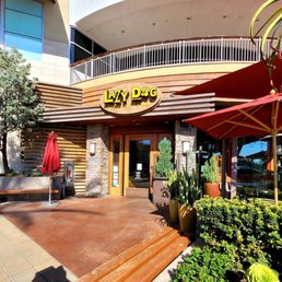 LAZY DOG RESTAURANT & BAR - Updated July 2025 - 2549 Photos & 1681 ...