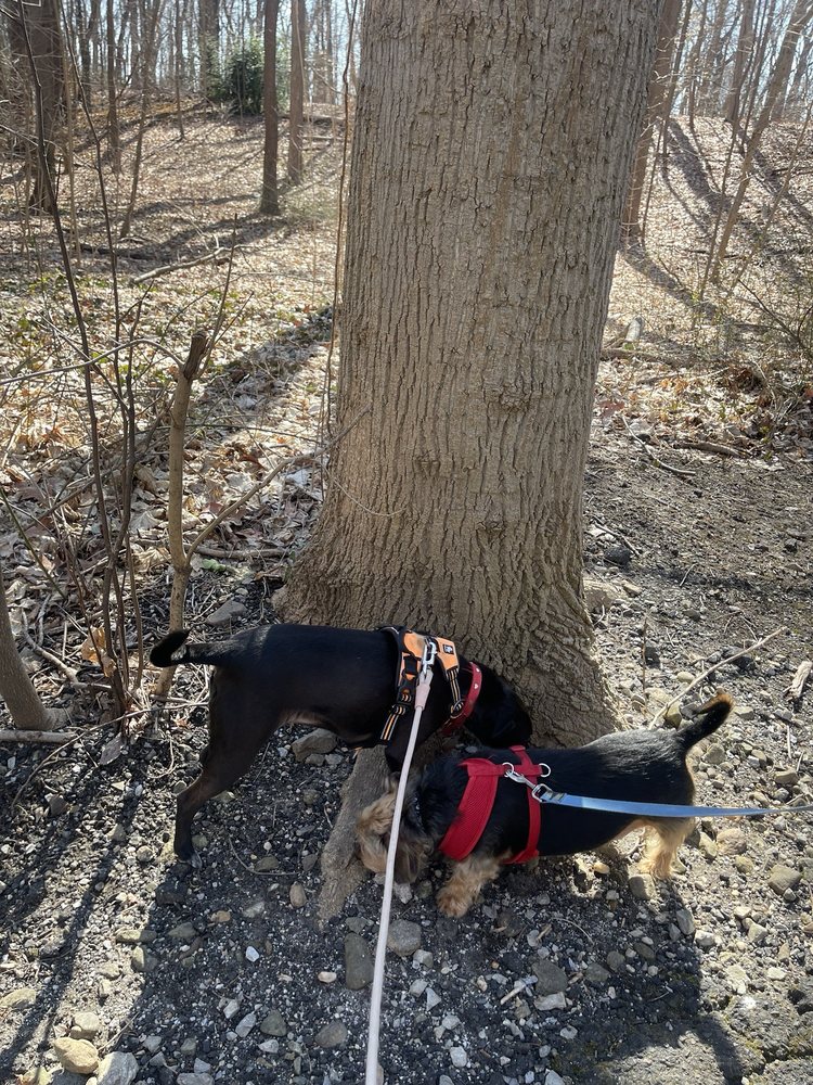 FAVARO PETER J PSYCHOLOGIST - Updated December 2025 - 617 Port ...