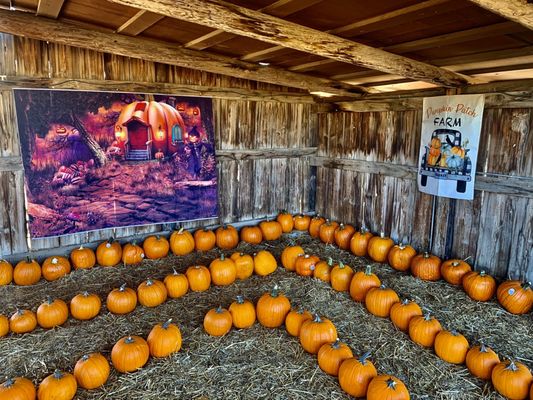 SLASH X RANCH CAFE - 231 Photos & 125 Reviews - 28040 Barstow Rd ...