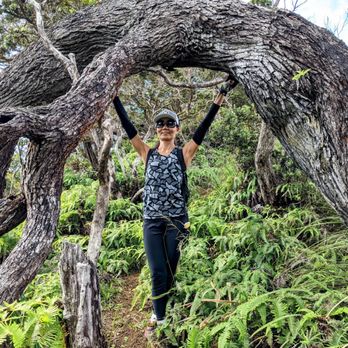 TRIPLER RIDGE - Updated December 2025 - 45 Photos & 17 Reviews - 1 ...