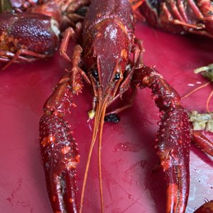 CAPTAIN DAT SEAFOOD - 54 Photos & 26 Reviews - Seafood - 4525 Williams ...