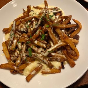 THE SHEFFIELD - 81 Photos & 24 Reviews - 1776 Monroe Ave, Rochester, NY ...