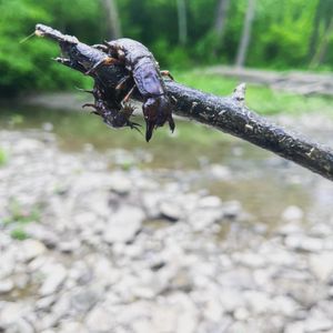 SCOTTYLAND CAMPING RESORT & RV SALES CENTER - Updated October 2025 - 12 ...