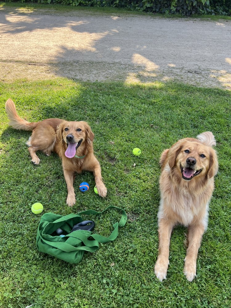 CANINE CRUISERS LA - Updated August 2024 - Los Angeles, California ...