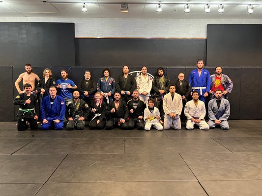 AMERICAN KILLER BEES PA - Updated October 2025 - 25 Photos - 344 Stroud ...