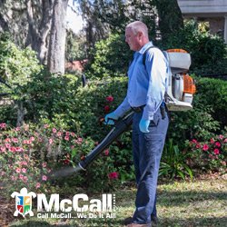 MCCALL PEST & WILLDIFE - Updated December 2025 - 53 Reviews - 2861 ...