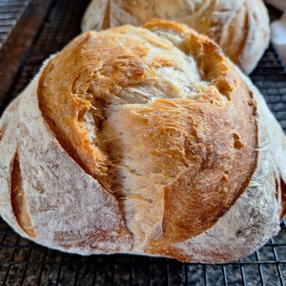 SIMPLE DELIGHTS BAKERY - Updated June 2024 - 56 Photos - Winsted ...