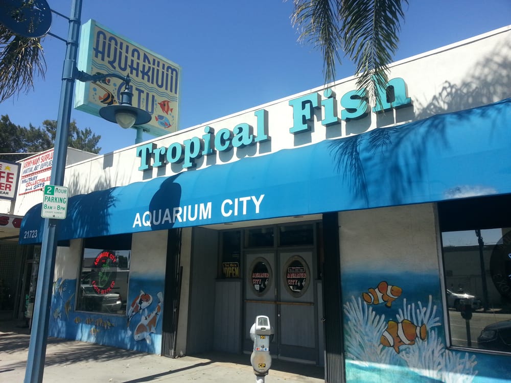 AQUARIUM CITY - Updated January 2026 - 152 Photos & 357 Real Reviews ...