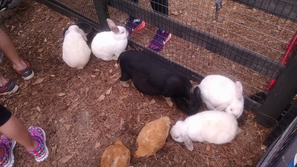 38TH ANNUAL GRAYSON DAY - Updated June 2024 - 24 Photos - 475 Grayson ...