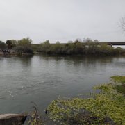 TRES RIOS WETLANDS - 26 Photos - Phoenix, Arizona - Parks - Yelp