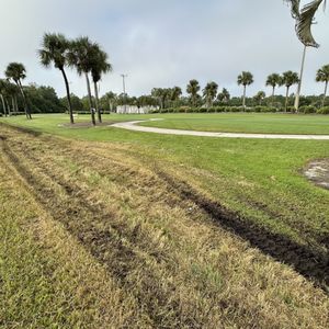 THE ROOKERY AT MARCO - Updated January 2026 - 31 Photos - 3433 Club ...