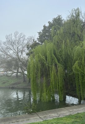 HOWE COMMUNITY PARK - Updated October 2025 - 123 Photos & 28 Reviews ...