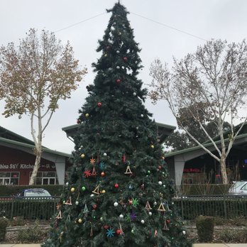 NUT TREE - Updated December 2025 - 299 Photos & 134 Reviews - 1661 E ...