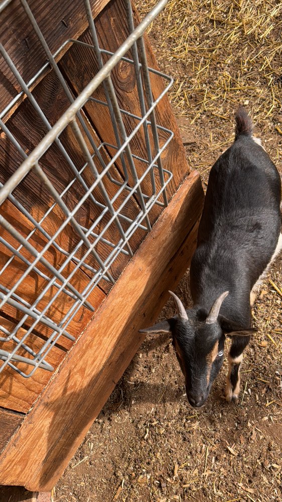 WHITE TREE FARM - Updated November 2025 - 16 Photos - 403 Bristol Dr ...