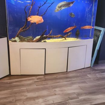 FLOATING SEA AQUATICS - Updated November 2025 - 290 Photos & 63 Reviews ...