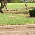 KAHILI GOLF COURSE - Updated December 2025 - 57 Photos & 62 Reviews ...