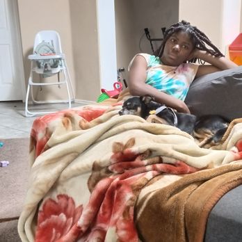 HALO ANIMAL RESCUE - Updated September 2025 - 97 Photos & 175 Reviews ...