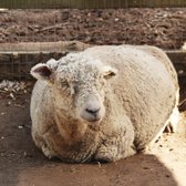 SUFFOLK COUNTY FARM - Updated December 2025 - 67 Photos & 16 Reviews ...