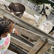 HAPPI FARM - 308 Photos & 101 Reviews - 10251 Orange Dr, Davie, FL - Yelp