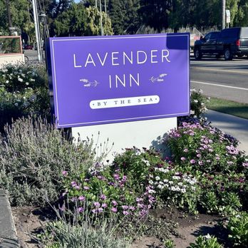 LAVENDER INN BY THE SEA - Updated December 2025 - 205 Photos & 212 ...
