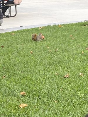 GODINEZ FUNDAMENTAL HIGH SCHOOL - Updated December 2025 - 10 Photos ...