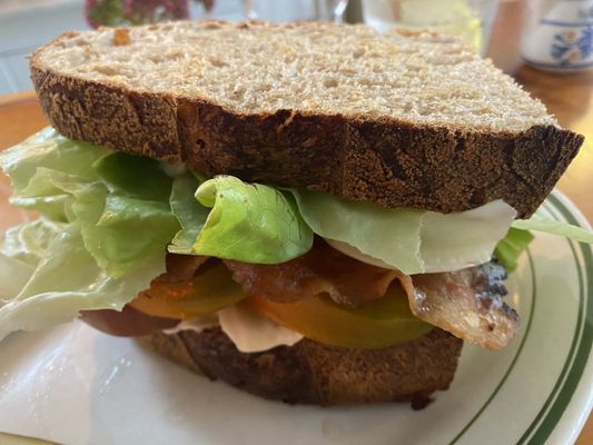 NEON NEWT - Updated July 2025 - 21 Photos & 19 Reviews - 30 Washington ...