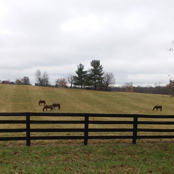 MILL RIDGE FARM - Updated October 2025 - 73 Photos & 16 Reviews - 2800 ...