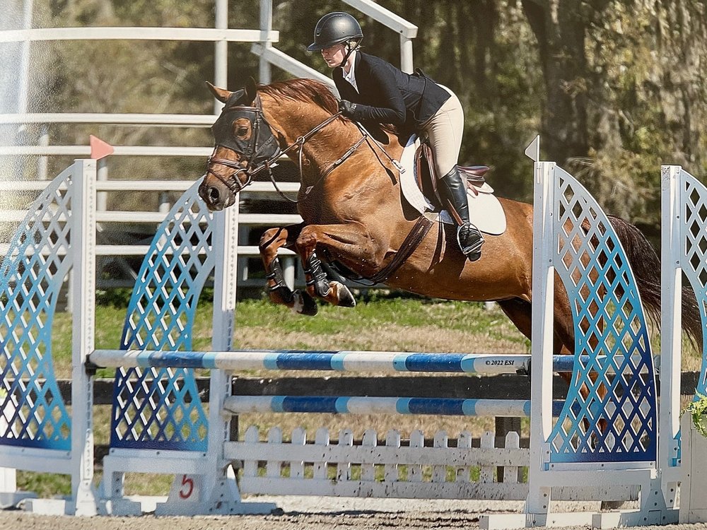 MILLENNIUM FARM - Updated January 2025 - 13 Photos - 36550 Hunt Club Rd ...