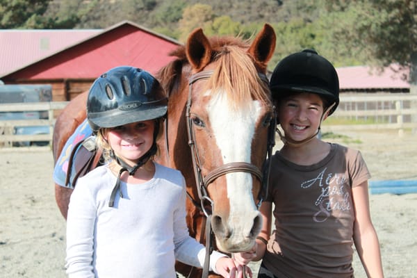 MARK WEST STABLES - Updated September 2025 - 13 Photos - 5241 Saint ...