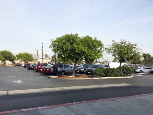 DEPARTMENT OF MOTOR VEHICLES - Updated December 2025 - 58 Photos & 278 ...