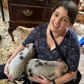 ROSE BRIDGE FARM & SANCTUARY - Updated March 2025 - 225 Photos & 77 ...