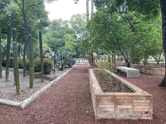 JARDÍN BOTÁNICO DE CHAPULTEPEC - Updated June 2024 - 89 Photos - Av ...