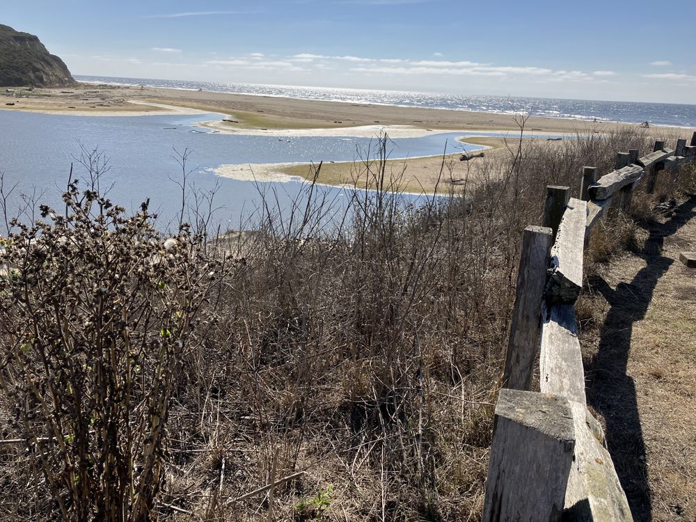 SAN GREGORIO STATE BEACH - Updated December 2025 - 416 Photos & 97 ...