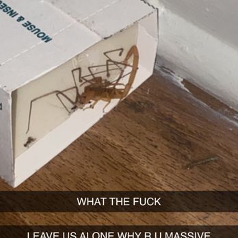 REDPOINT TEMPE - Updated January 2026 - 67 Photos & 91 Reviews - 708 S ...