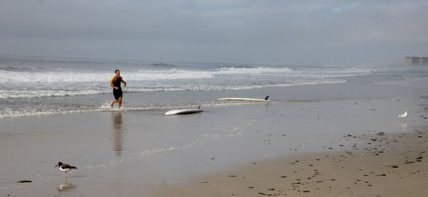LIDO BEACH AT TOWN PARK - Updated September 2024 - 101 Photos & 60 ...