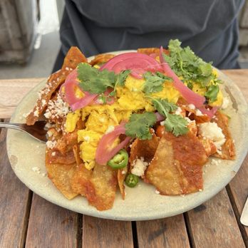 FIG TREE VENICE - Updated December 2024 - 1085 Photos & 672 Reviews ...