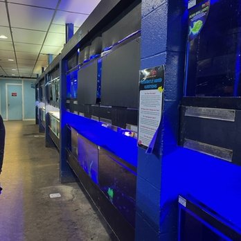 THAT FISH PLACE - THAT PET PLACE - Updated December 2025 - 149 Photos ...