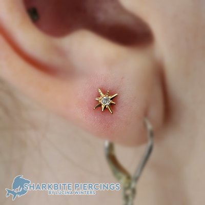 SHARKBITE PIERCINGS - Updated January 2026 - 68 Photos & 98 Reviews ...