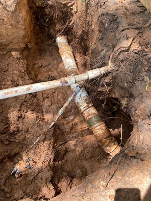 ARS / RESCUE ROOTER - Updated December 2025 - 88 Photos & 668 Reviews ...