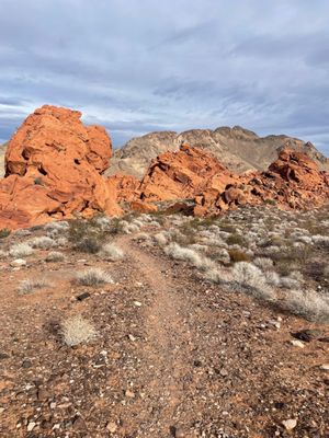 REDSTONE DUNE HIKE - 68 Photos - Redstone Dune Trail, Overton, Nevada ...